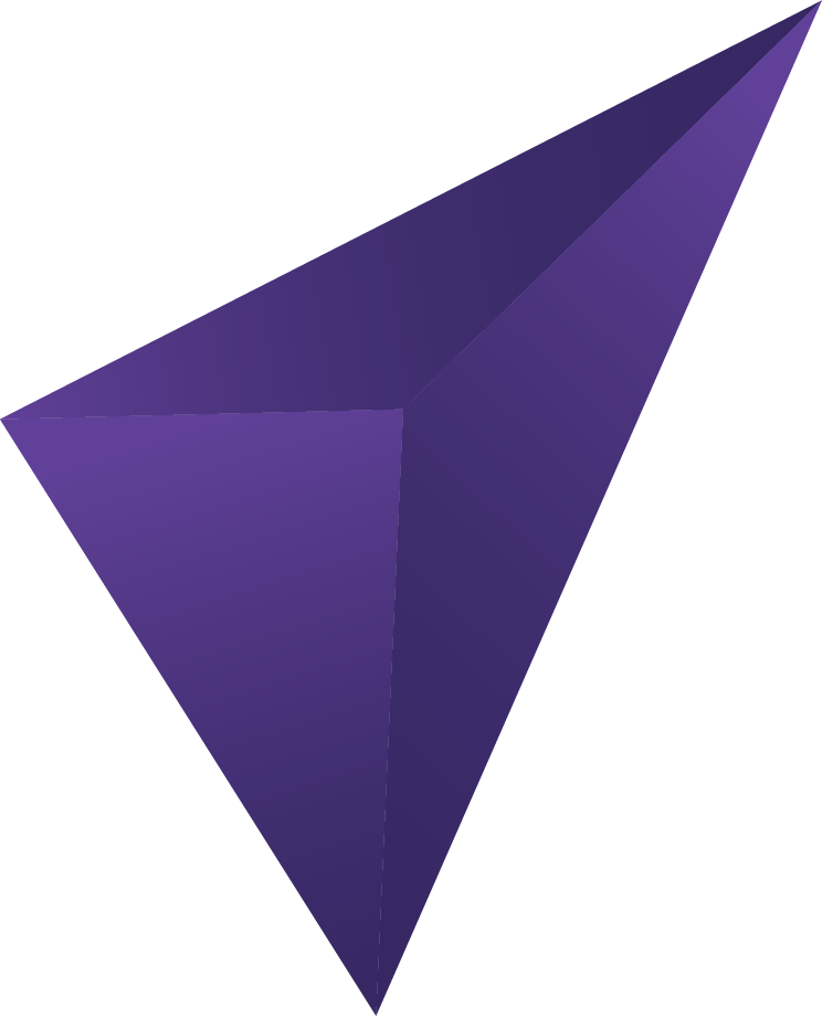 About Us - Proicere Digital