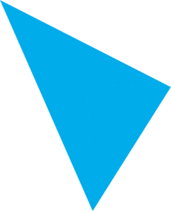 About Us - Proicere Digital