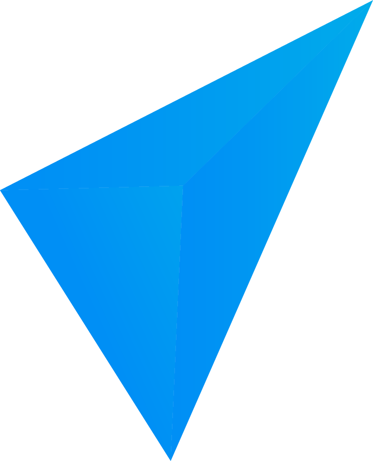 About Us - Proicere Digital